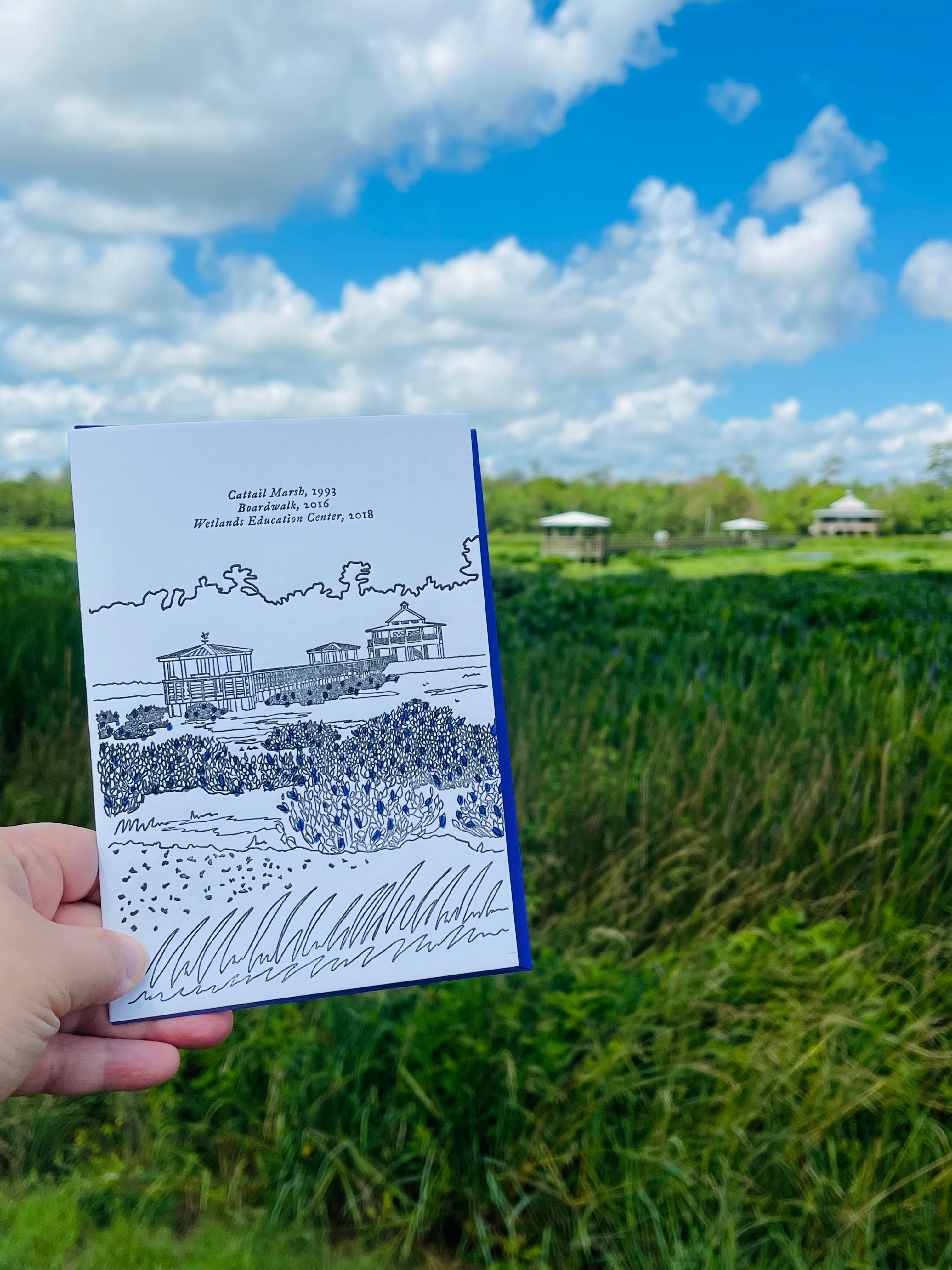 Cattail Marsh Trifecta Southeast Texas Series – Print Doodle Press