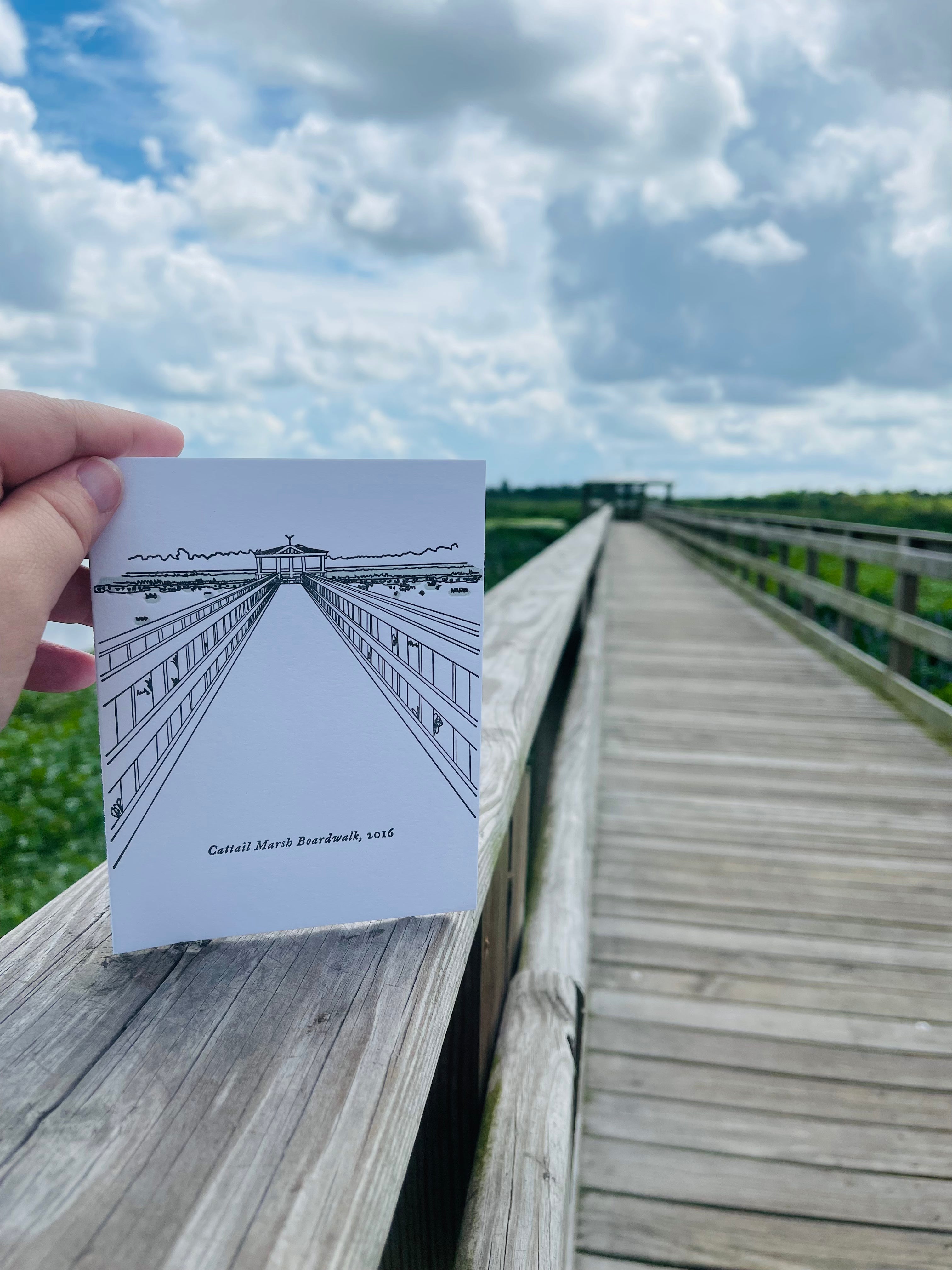Cattail Marsh Boardwalk Southeast Texas Series – Print Doodle Press